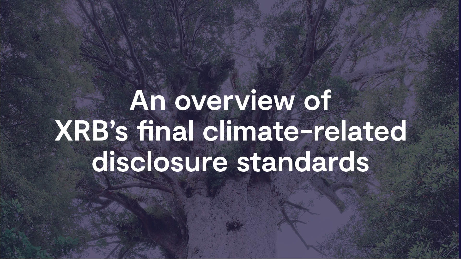 Chapman Tripp | An overview of XRB’s final climate-related disclosure ...