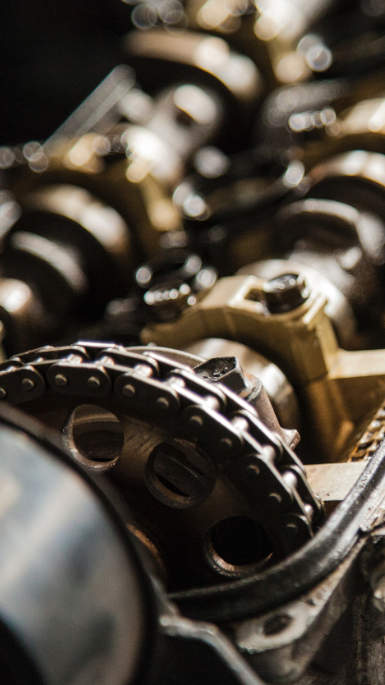 Chapman Tripp | Ben Halberg