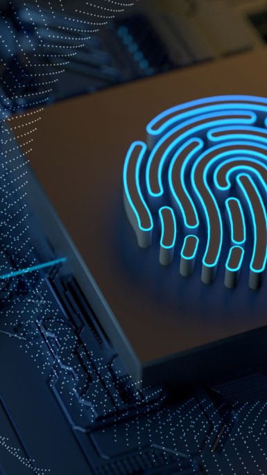 Chapman Tripp | Ben Halberg